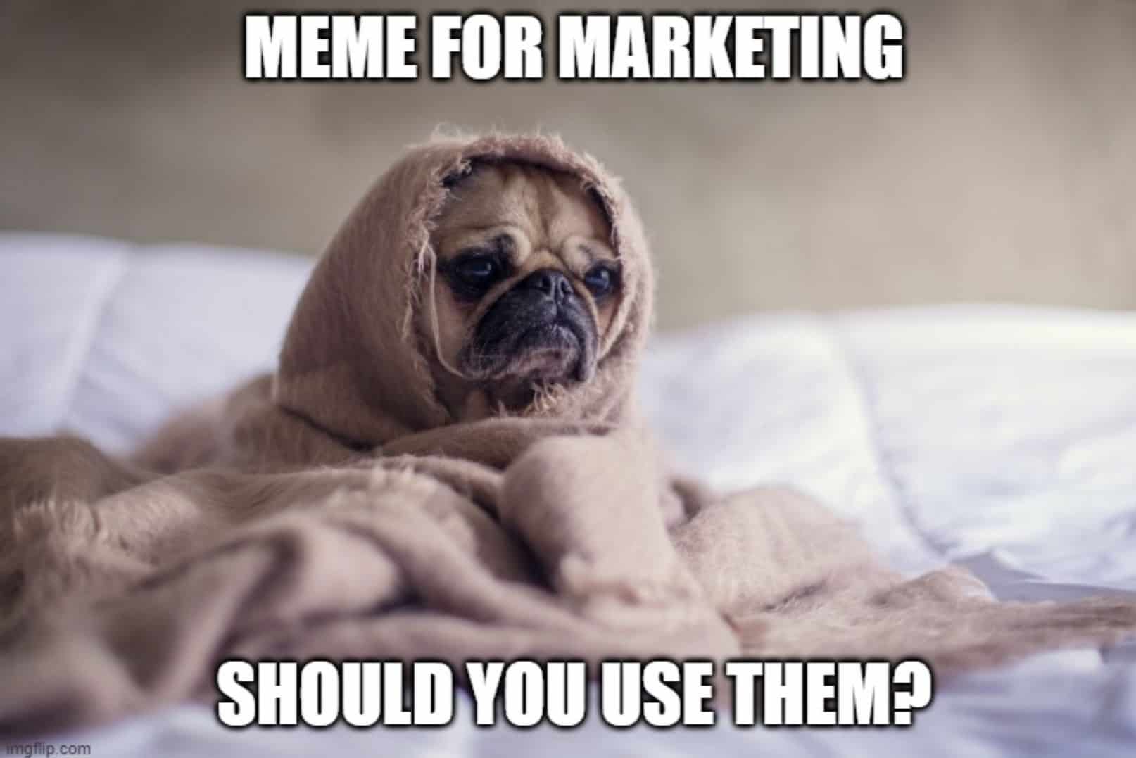 9 Cara Membuat Meme Marketing Untuk Branding Bisnis Anda